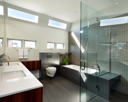 Toilet Ledge | Houzz