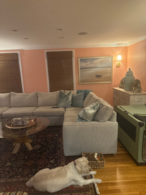 Need help with Family Room format | Houzz Forum