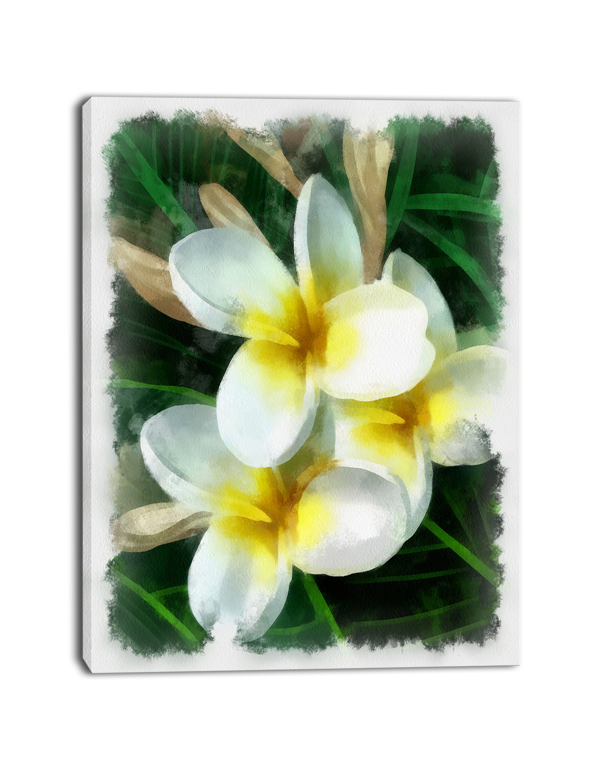 Cute Frangipani Flowers Watercolor, Floral Canvas Art Print, 12"x20 ...