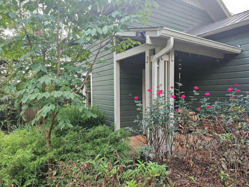 Addition ideas for detached man cave?