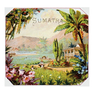 "Sumatra" Digital Paper Print by Unknown, 18"x17", 18"x17" - Tropical ...