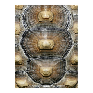 "Carapaced Motif VI" Fine Art Piece, 30"x40" - Contemporary - Paintings ...