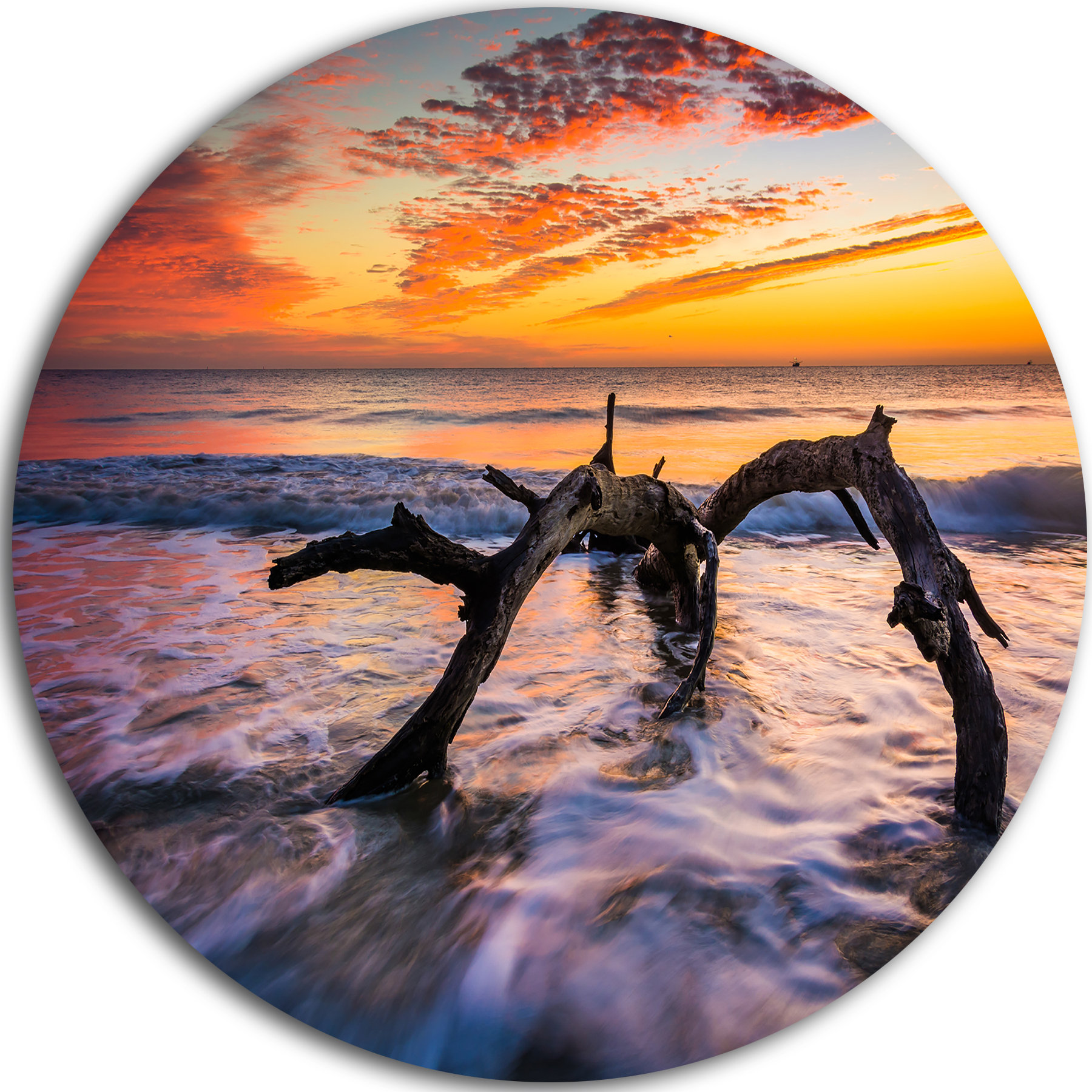 Tree And Waves In The Atlantic Ocean, Seashore Disc Metal Wall Art ...