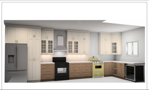 Help with kitchen layout...and cabinet colours...