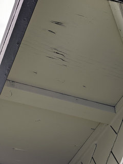 Porch ceiling rot?