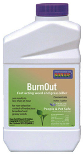 Bonide 7465 Burn Out Weed & Grass Killer Concentrate, 1-Gallon, 1 ...