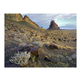 "Shiprock, the basalt core of an extinct volcano, New Mexico" Paper Art ...