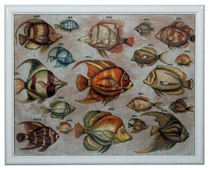 Tropical Fish Study Wall Art - Beach Style - Paintings - by ...
