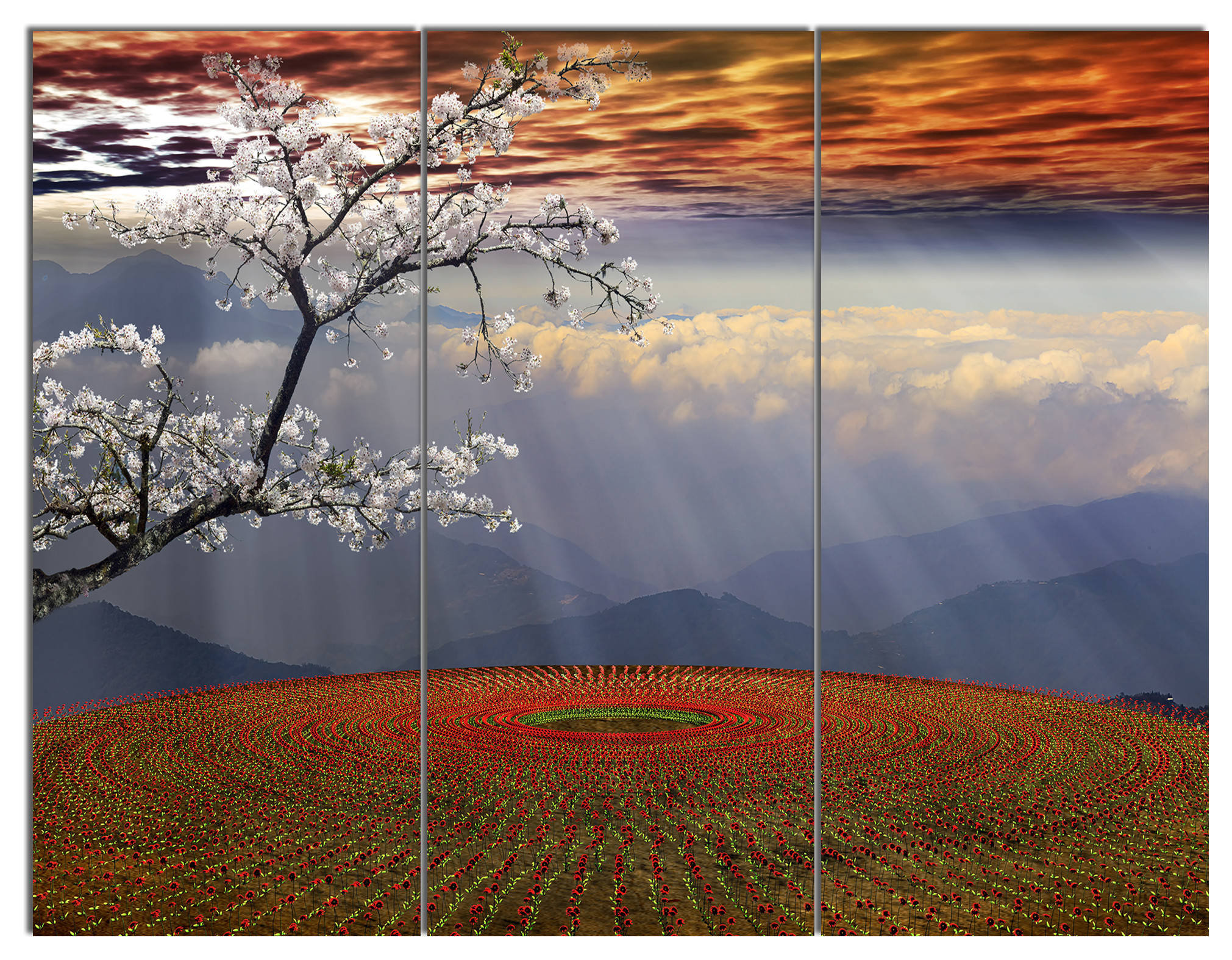 "Beautiful Flower Field at Sunset", 36"x28" - Contemporary - Metal Wall ...
