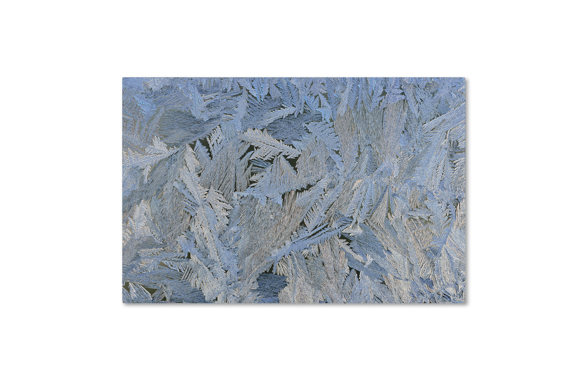 'Frost Pattern #6' Canvas Art by Kurt Shaffer, 12" x 19" - Traditional ...