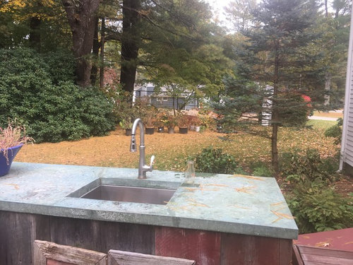 Neighbors gross fence, my weird landscaping aesthetic