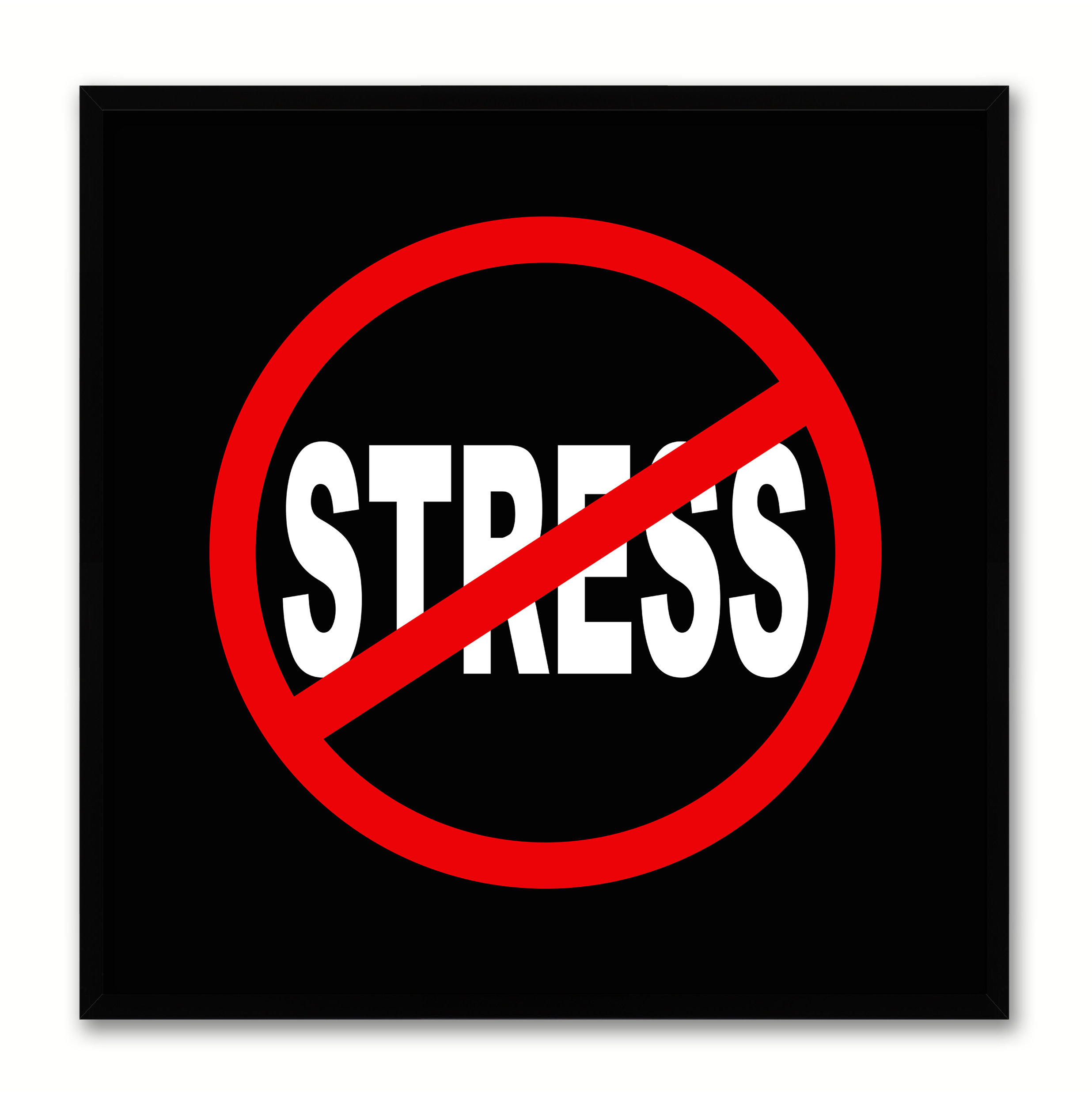 "No Stress" Sign Black Print on Canvas with Picture Frame, 20"x20 ...