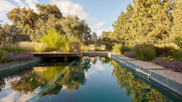 Yard of the Week: Low-Water Landscape With a Natural Pool