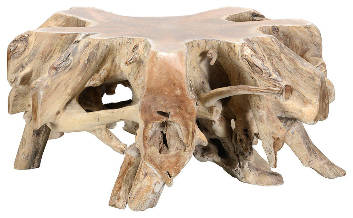 Large Teak Root Coffee Table - Transitional - Coffee Tables - by Terra ...