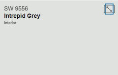 Help me choose a light grey paint color!