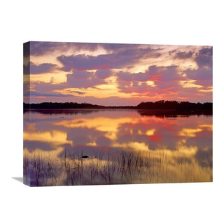 "American Alligator At Sunrise, Everglades National Park, Florida ...