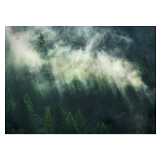 Misty Crowns Wall Mural - Rustic - Wallpaper - by Brewster Home ...