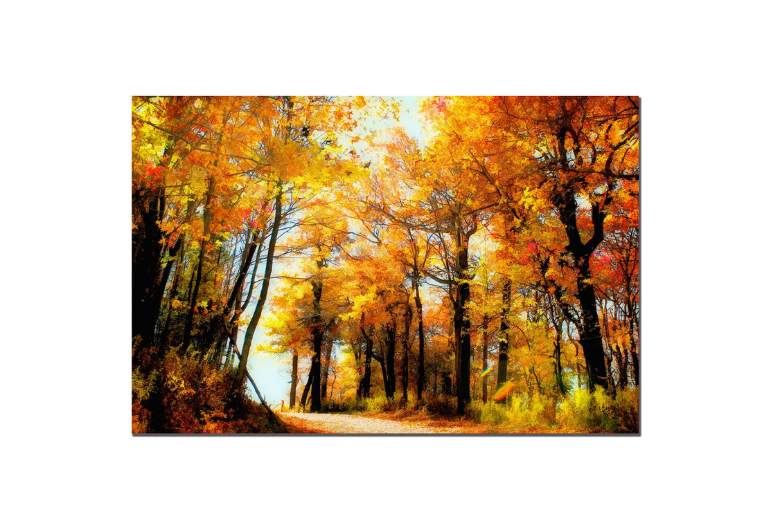 'Golden Day' Canvas Art by Lois Bryan, 24" x 32" - Traditional - Prints ...