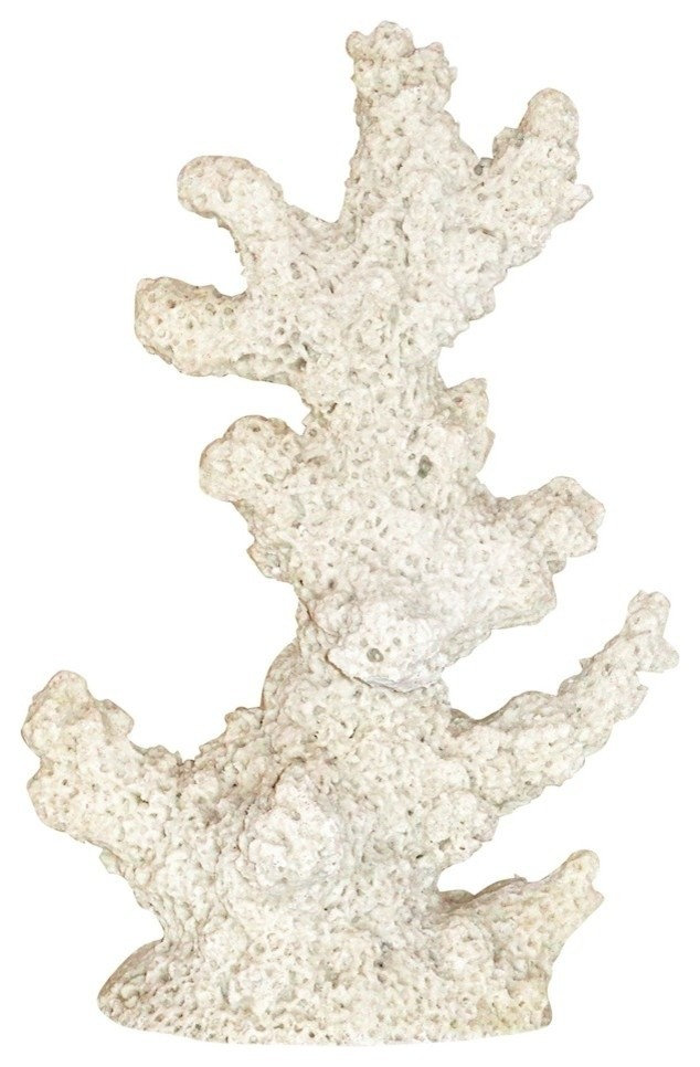 Pomeroy Sand Coral Extra Large, White - Beach Style - Decorative ...