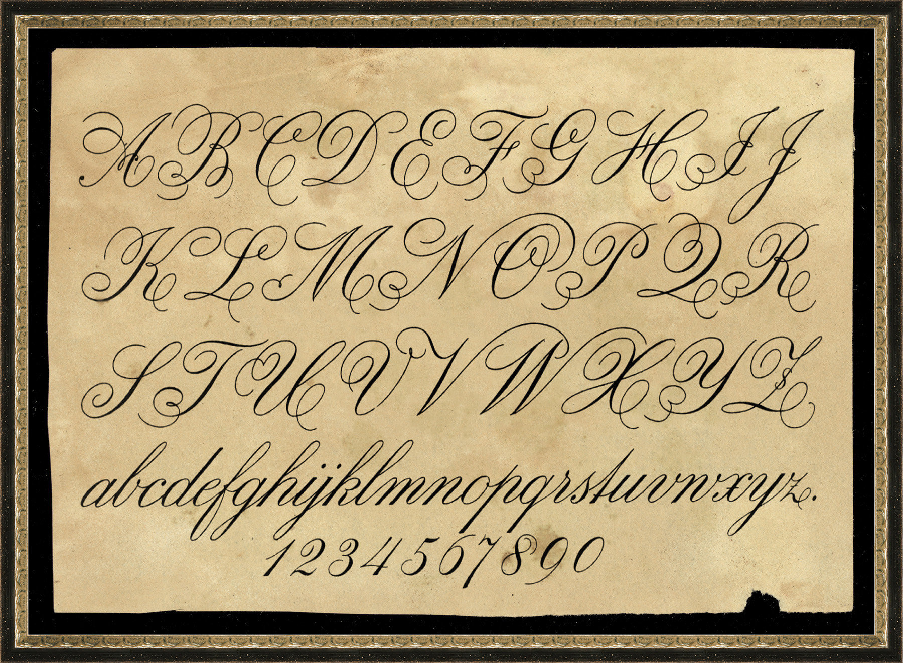 Vintage Alphabet 2, Giclee Reproduction Artwork, 31.5x23 - Traditional ...