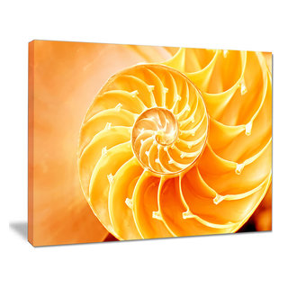 "Yellow Nautilus Shell" Abstract Art Canvas Art Print, 40"x30 ...