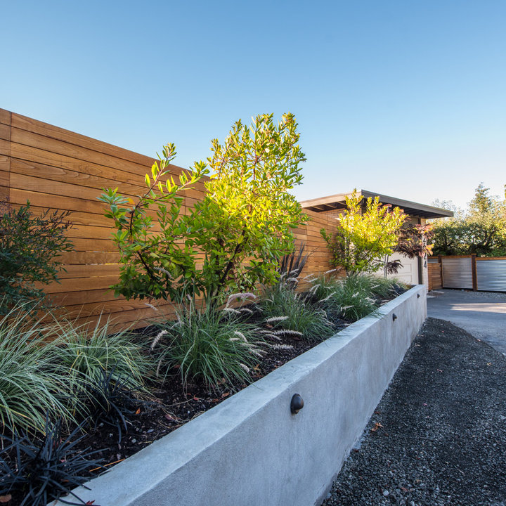 75 Beautiful Midcentury Driveway Ideas & Designs - October 2025 | Houzz AU