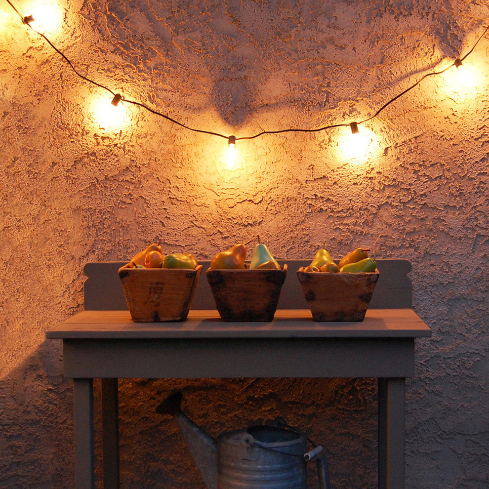 10-Bulb Edison-Style String Lights - Traditional - Outdoor Rope And ...