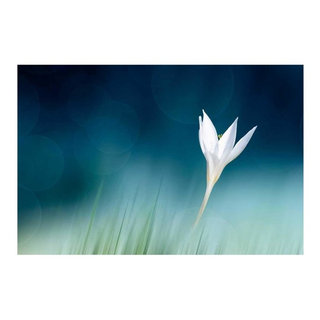 "Lonely" Digital Paper Print by Doris Reindl, 24"x17", 32"x22 ...