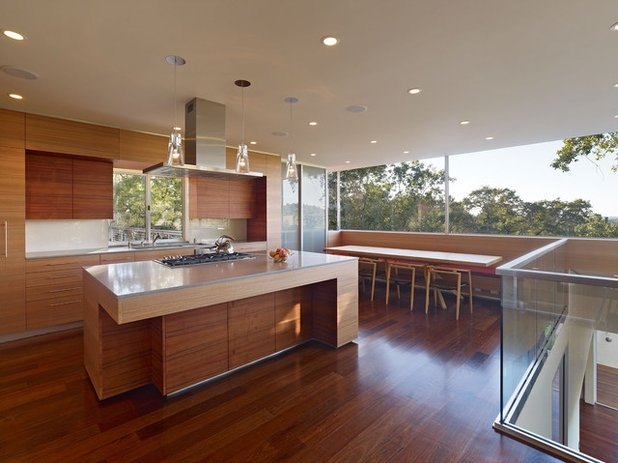 Single-Sloped Roofs Ramp Up Modern Homes