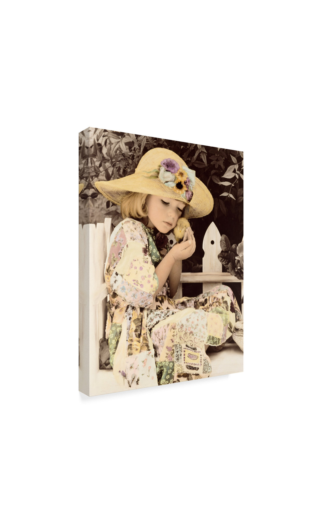 Sharon Forbes 'Cheek To Chick' Canvas Art, 24"x18" - Farmhouse - Prints ...