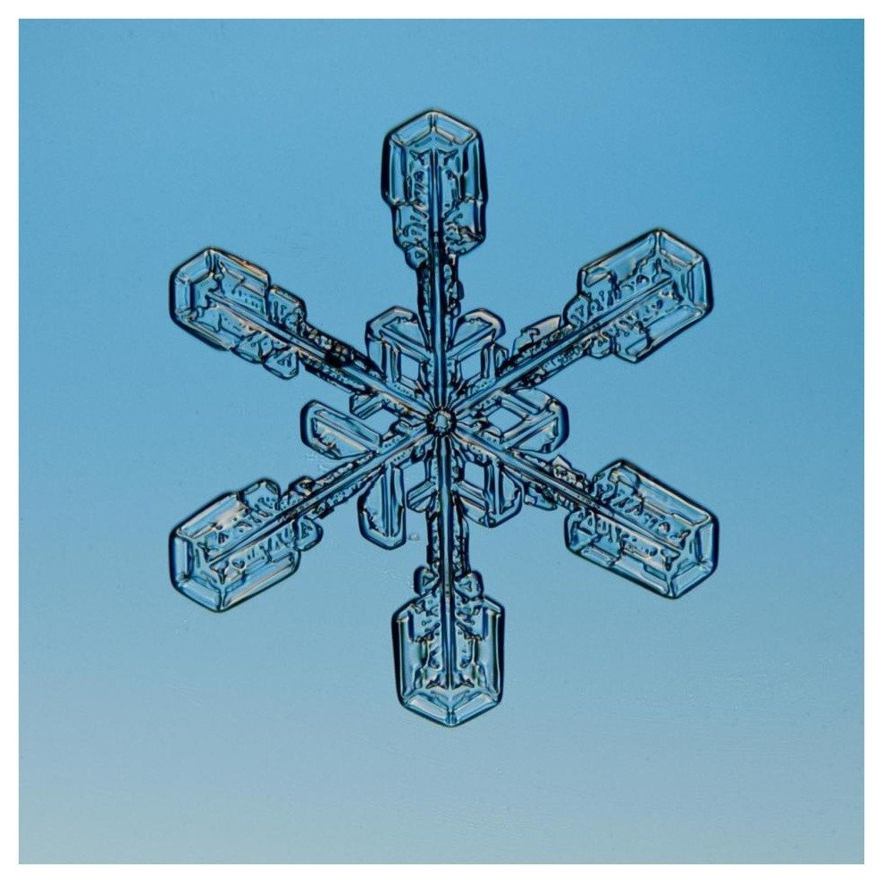 "Snowflake seen through microscope" Digital Paper Print by Steve Gettle ...