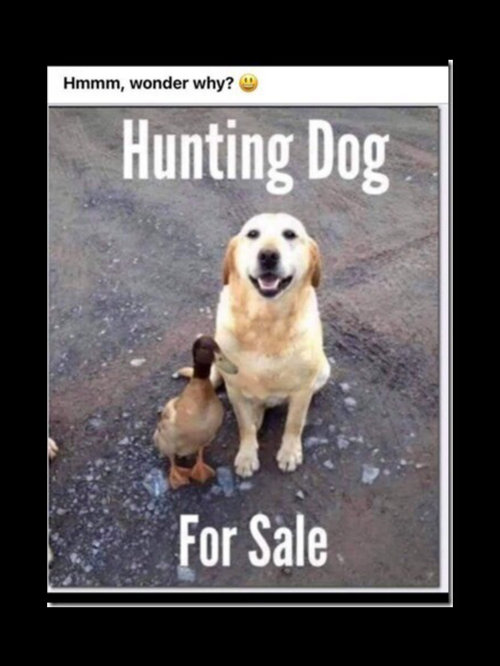 Chuckles for a Monday