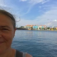 DARK TOOLS INC - Project Photos & Reviews - toronto, ON CA | Houzz