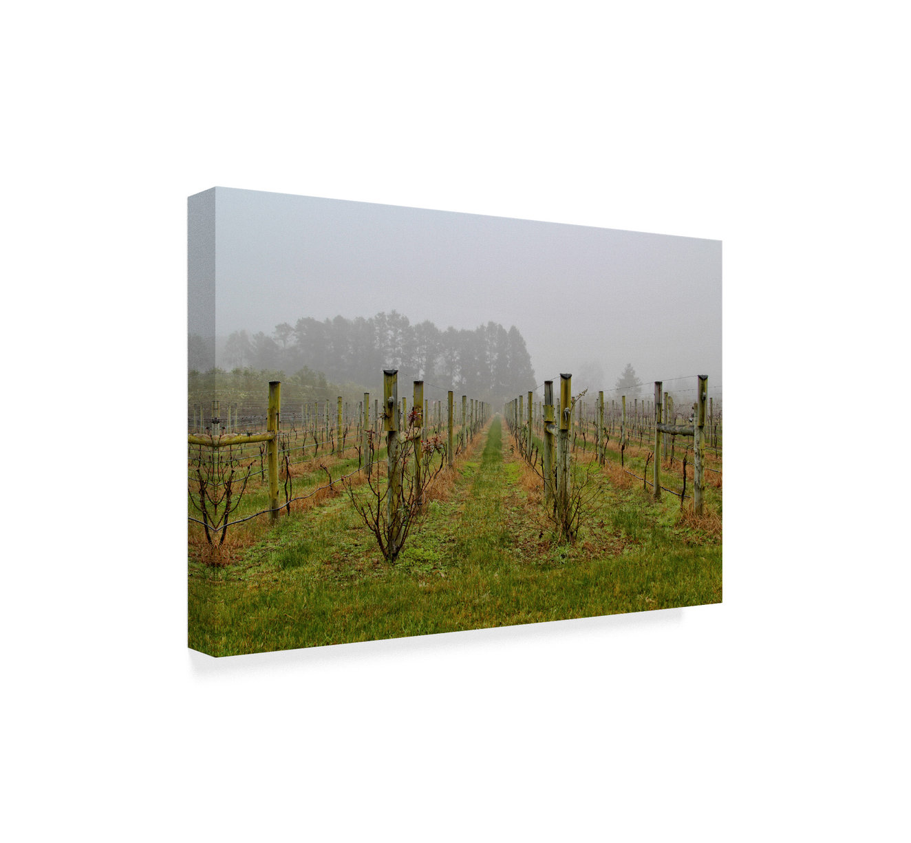 Incredi 'Winter Winyard Iii' Canvas Art, 19"x12" - Farmhouse - Prints ...