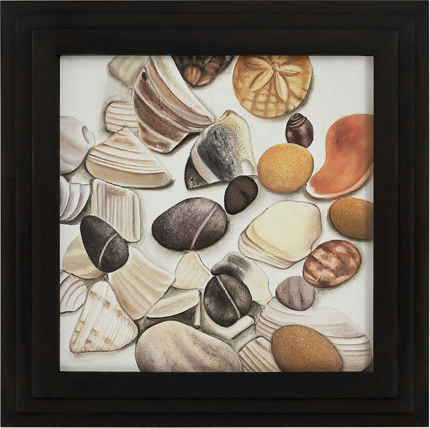 Shells and Stones - Beach Style - Prints And Posters - by HedgeApple ...