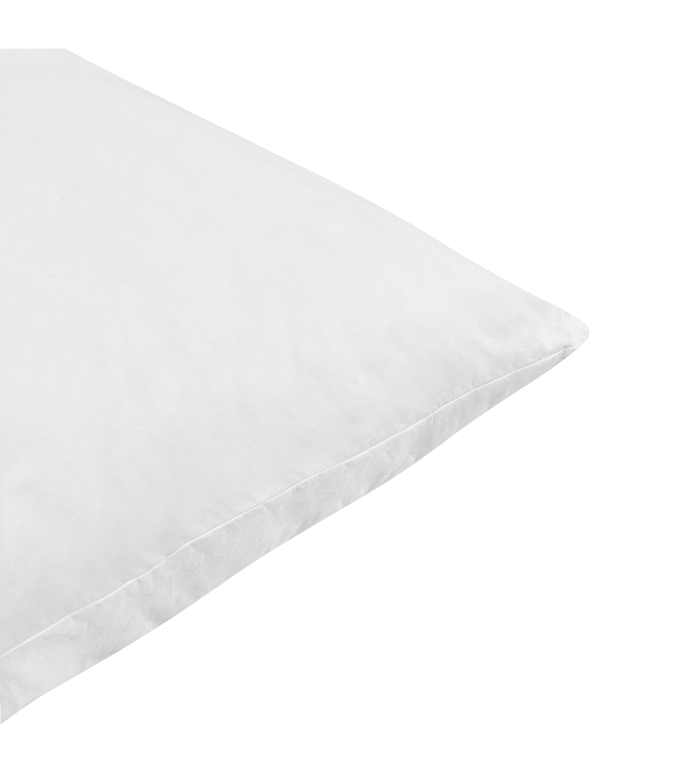 Premium Down Alternative Sham Insert by Kosas Home, Euro Square ...