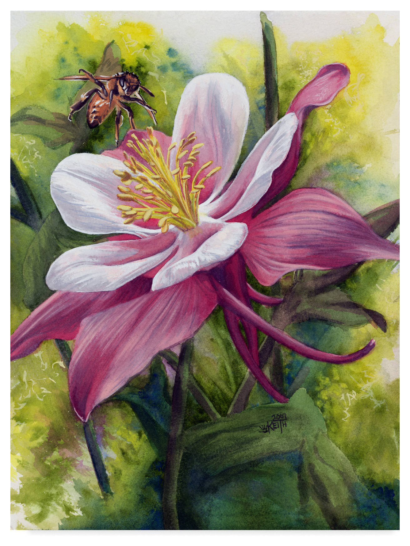 "Vernal" by Barbara Keith, Canvas Art, 19"x14" - Contemporary - Prints ...