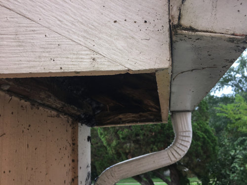 Rotted rafter tail - Fix | DIY Home Improvement Forum