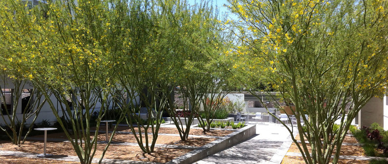 MARK BEALL & ASSOCIATES - Project Photos & Reviews - Los Angeles, CA US ...