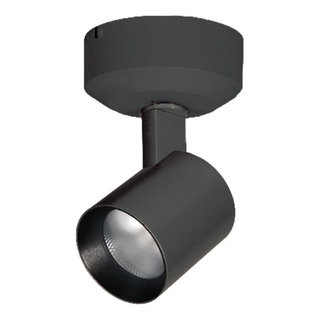 Lucio LED 10W Monopoint 2700K Flood Beam, Black - Transitional - Flush ...