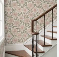Split level entry needs help. | Houzz Forum