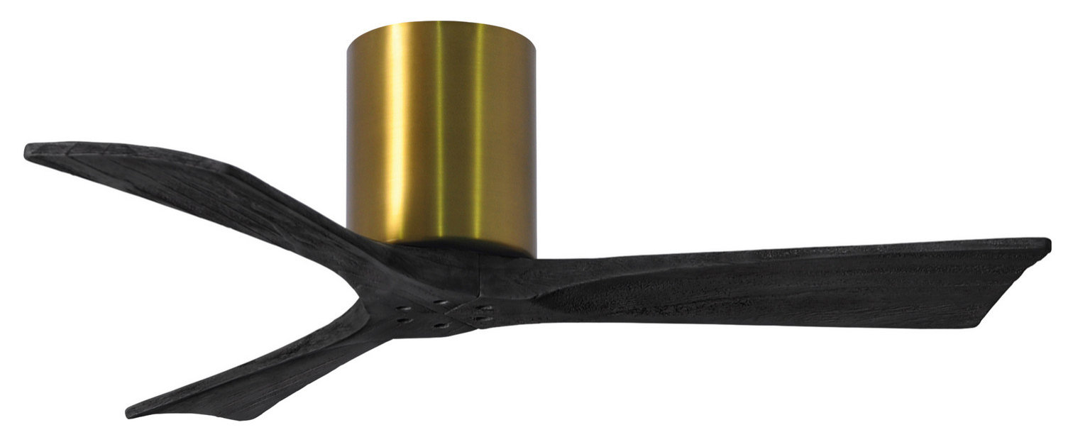 Irene 42" Ceiling Fan in Brushed Brass - Transitional - Ceiling Fans ...