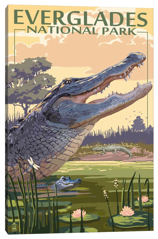 Everglades National Park (Alligators) by Lantern Press Art Print ...