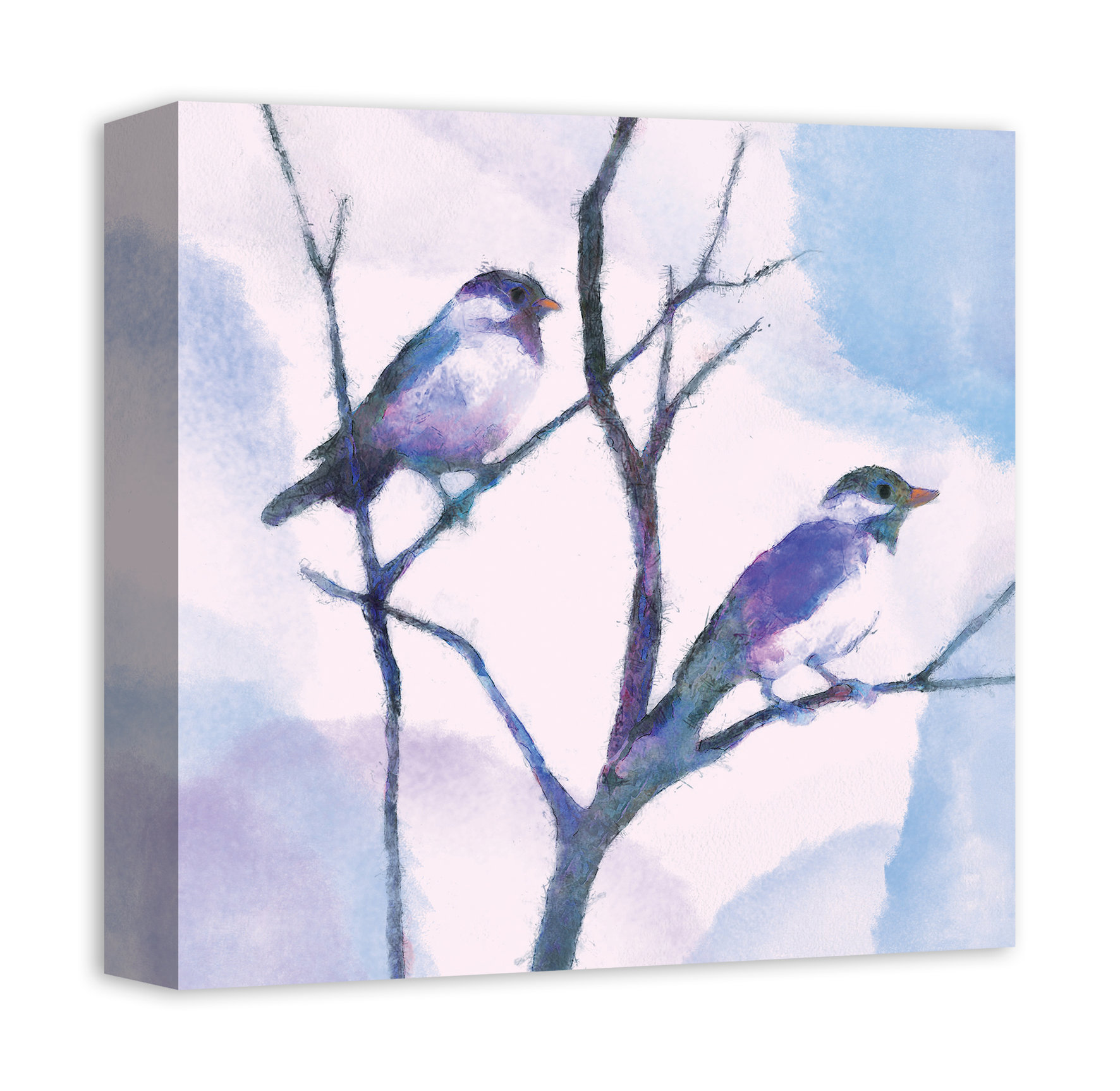 Watercolor Birds 12x12 Canvas Wall Art, 12x12 - Contemporary - Prints ...