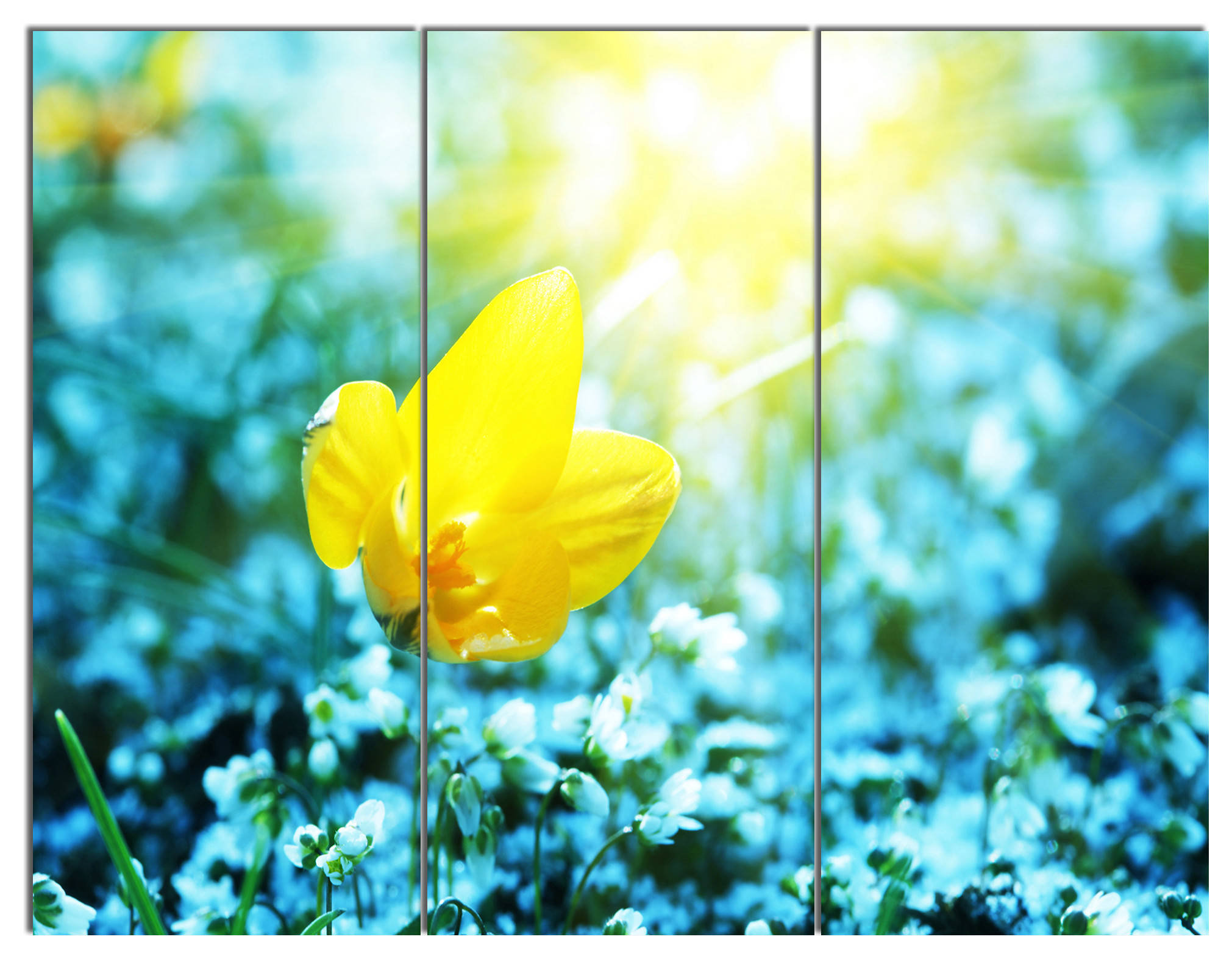 Designart - Beautiful Yellow Spring Flower' Floral Metal Circle Wall ...