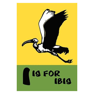 I is for Ibis, 20" x 30" - Traditional - Prints And Posters - by ...