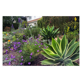 Moorish Vibes in Santa Monica - Mediterranean - Landscape - Los Angeles ...