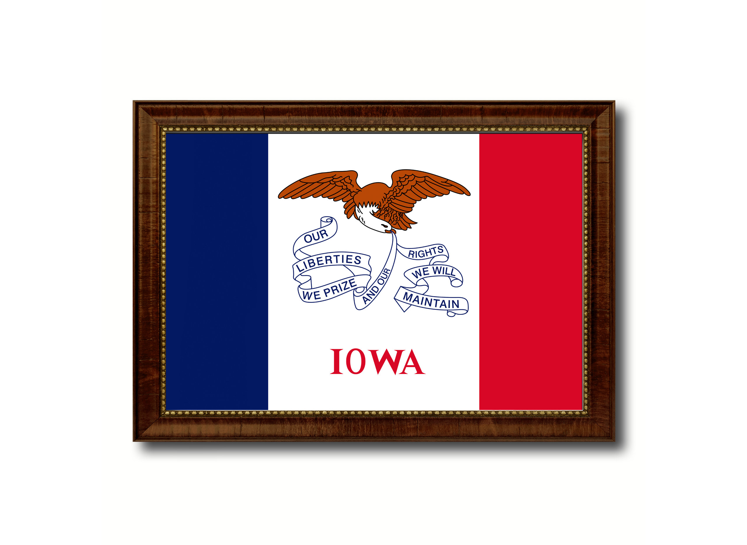 Iowa State Flag Canvas Print, 15"x21" - Traditional - Prints And ...