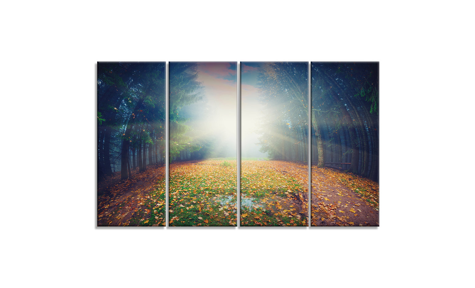 "Rising Sun Over Arched Forest" Landscape Photo Wall Art, 48"x28 ...
