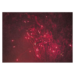 Sharp Colors 494 Area Rug, 5'0"x7'0" - Contemporary - Novelty Rugs - by ...